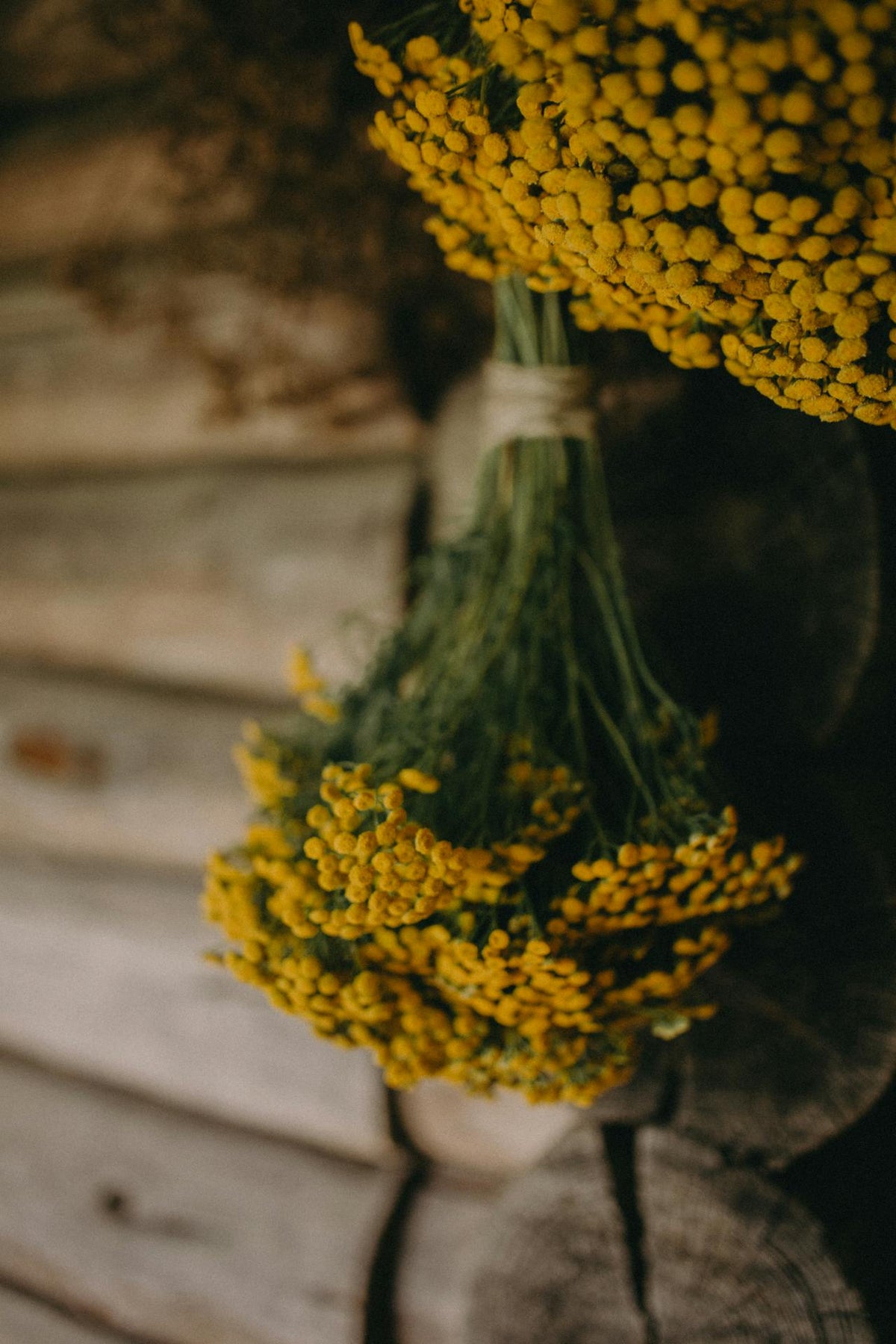 Guide to Drying and Preserving Flowers from Your Bouquet | Floristics Co.